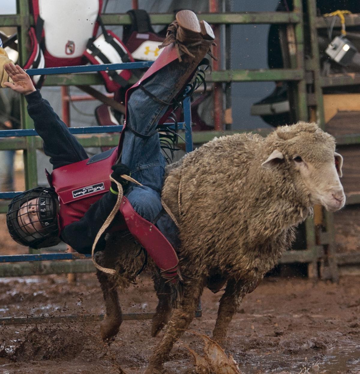 Junior Bull Riding takes center stage for Laramie Jubilee Days rodeo ...