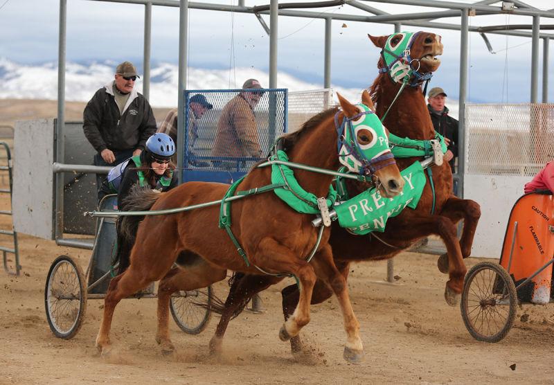 Chariot races in Saratoga start March 5 | Entertainment | wyomingnews.com