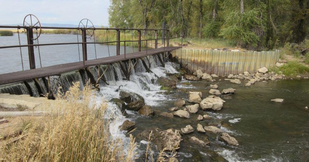 Dowlin Diversion replacement favors fish passage | News | wyomingnews.com