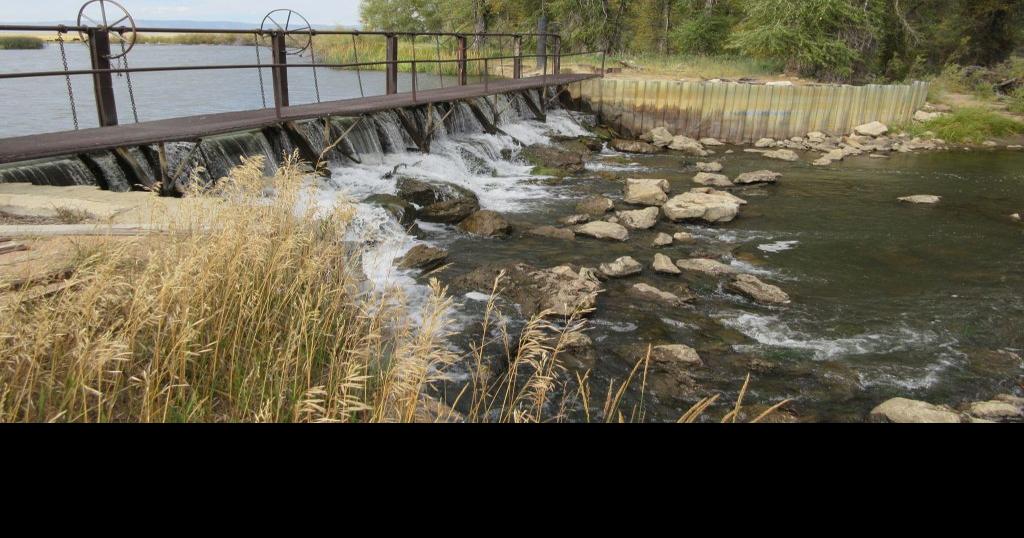 Dowlin Diversion replacement favors fish passage | Industry News ...
