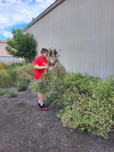 Uniting people, sharing resources, improving lives in southwest Wyoming ...
