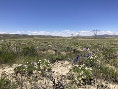 Build begins on transmission line amid growing wind power concern ...