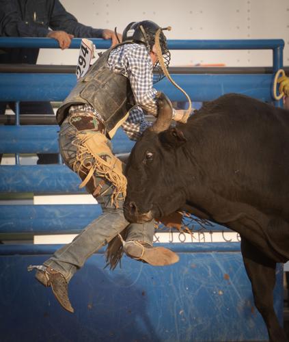 Lukasey Morris adds name to list of Jubilee Days Mr. T Bull Riding ...