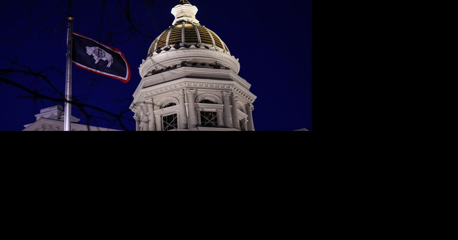 Legislature to revisit ranked choice, crossover voting measures | News ...