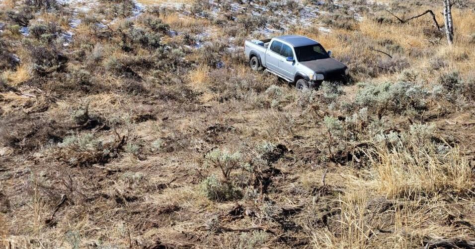 Rawlins man pleads guilty to killing an antlered elk without proper ... Rawlins man pleads guilty to killing an antlered elk without proper ...