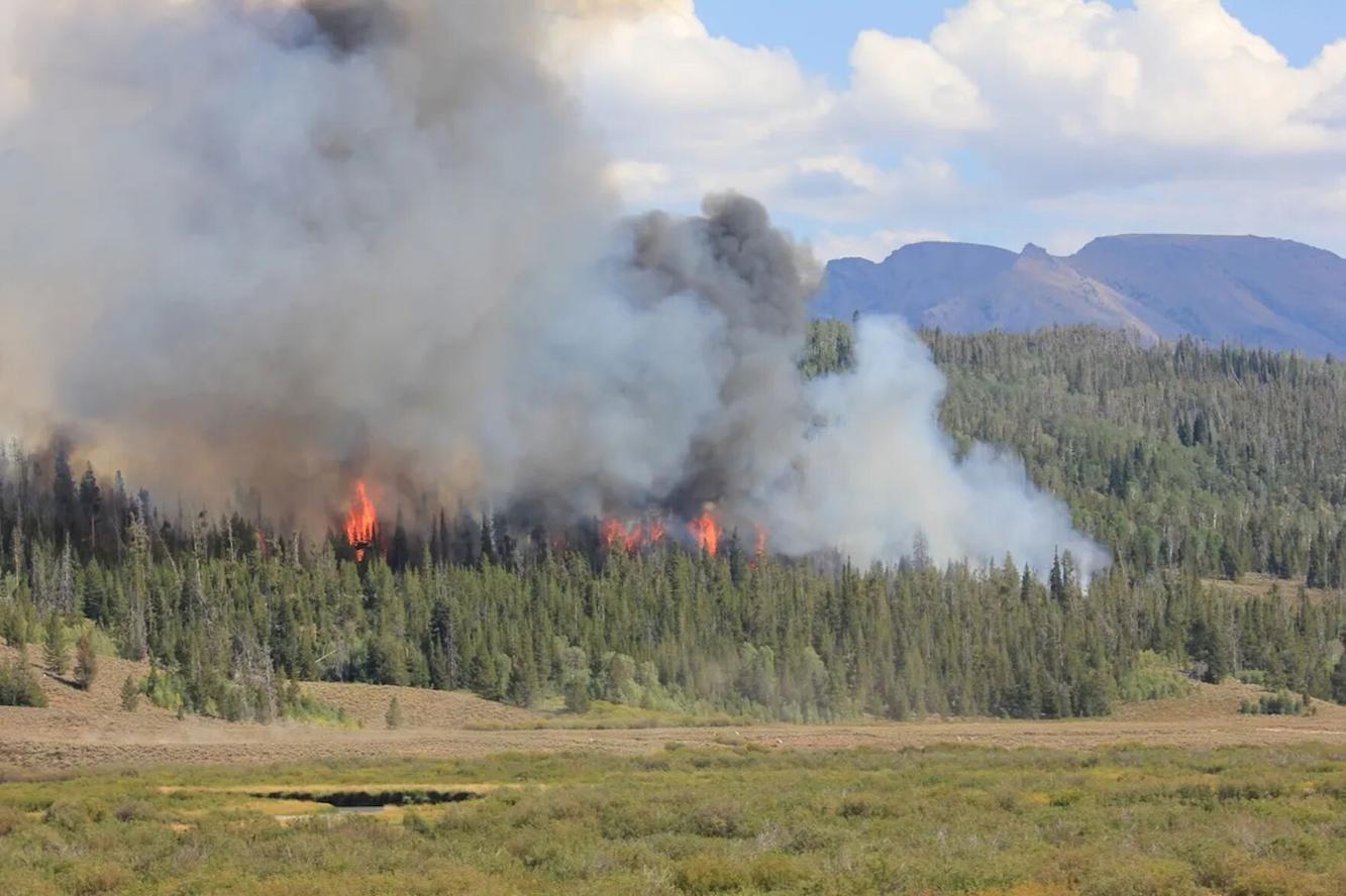 Western Wyoming fire explodes to 600 acres, closing Green River Lakes ...
