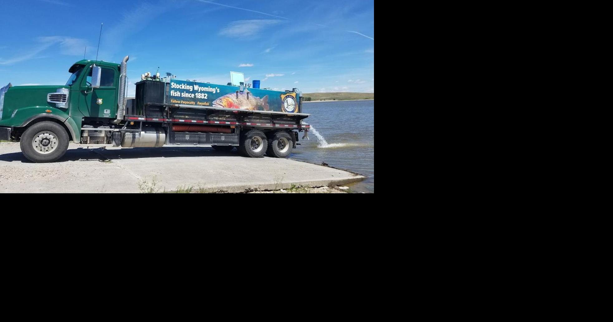 Wyoming Game & Fish: Anglers urged to harvest small lake trout as ...