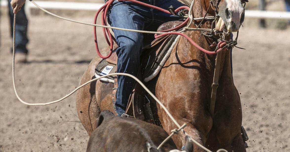 Tyler Milligan sets record in Cheyenne Frontier Days tie-down ...
