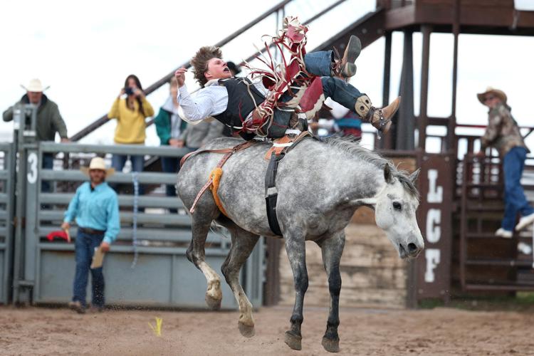 Visit Cheyenne, Laramie County Events announce new winter rodeo and ...