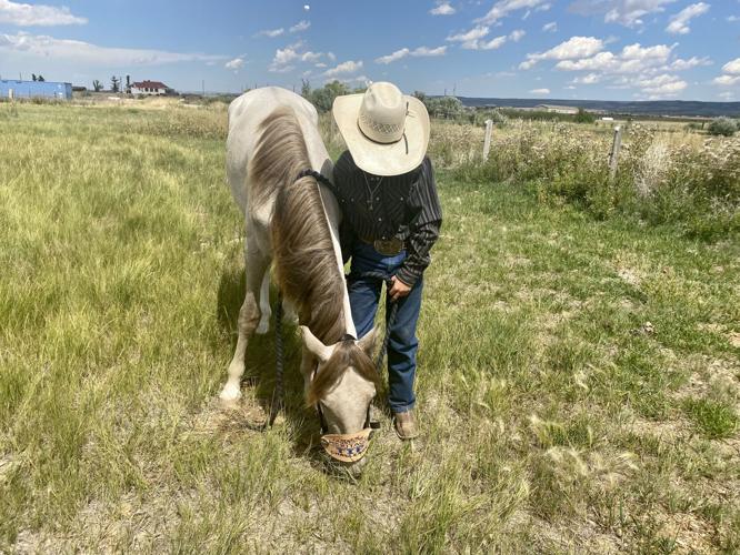 Local teen, wild mustang quickly build bond through training program ...