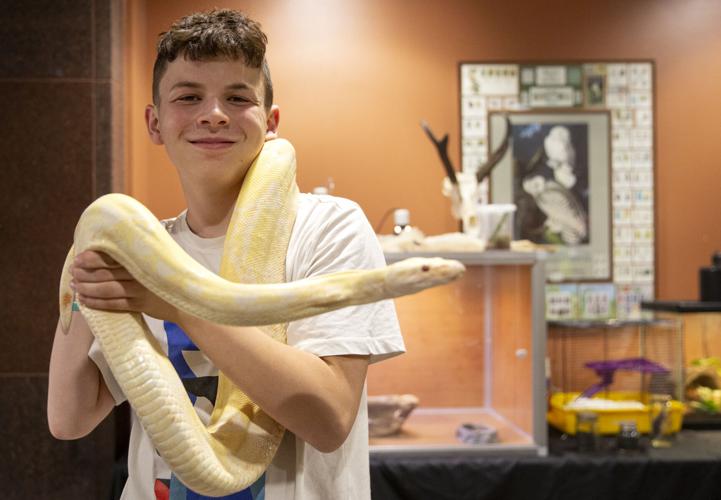 Creepy Crawly Critters at the Wyoming State Museum | Gallery ...