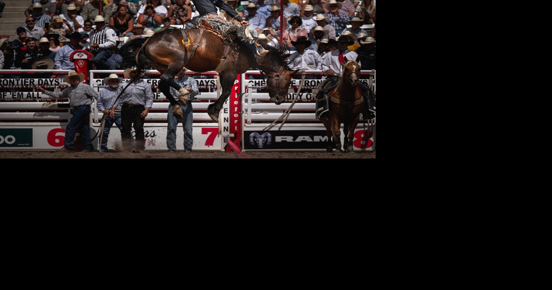 Powell saddle bronc rider Brody Wells rode momentum to second NFR berth ...