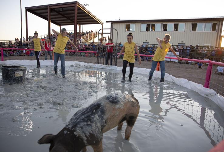 Laramie County Fair Pig Wrestling | Gallery | wyomingnews.com