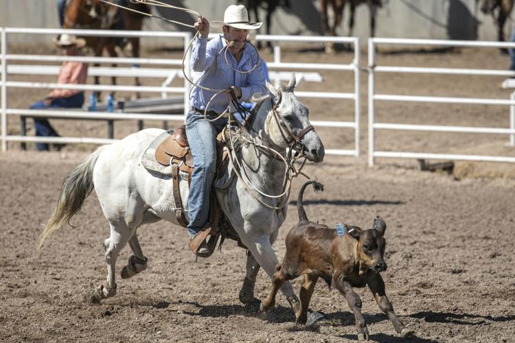 Tie-down roping qualifiers for 127th Cheyenne Frontier Days, 7-17-23 ...
