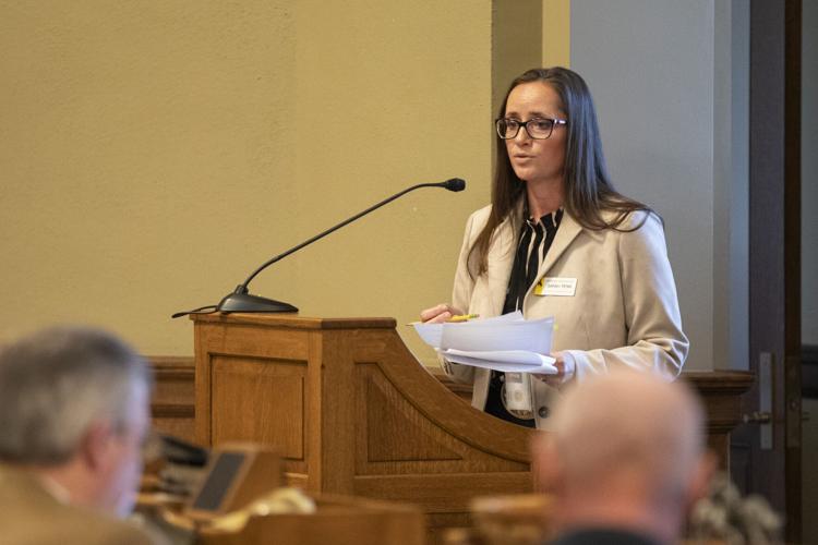 Lawmakers oppose public funding for 'sexually explicit' events | Local ...