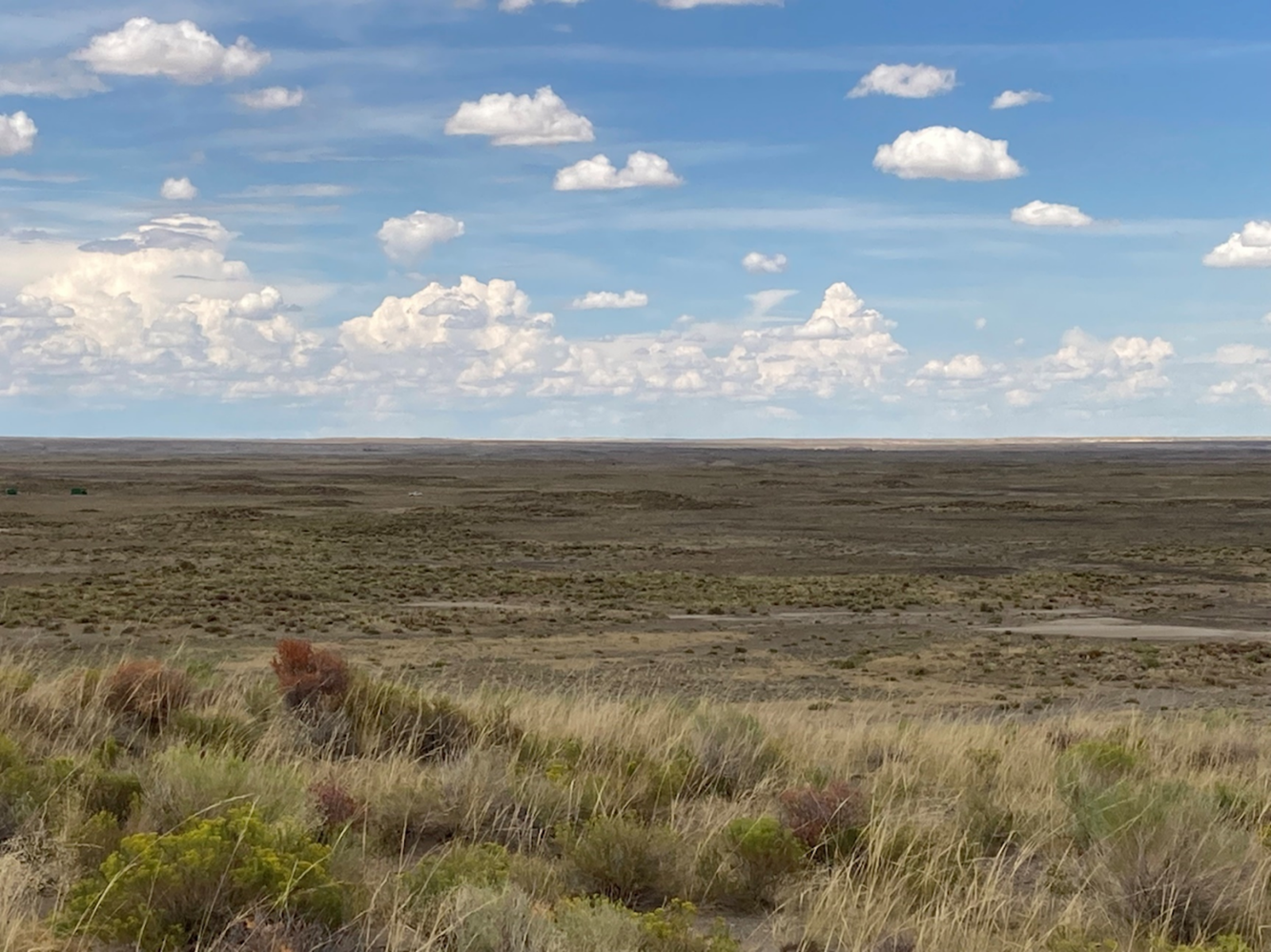 Cheyenne moves to loosen 6-inch weed rule, allow native grasses to grow ...