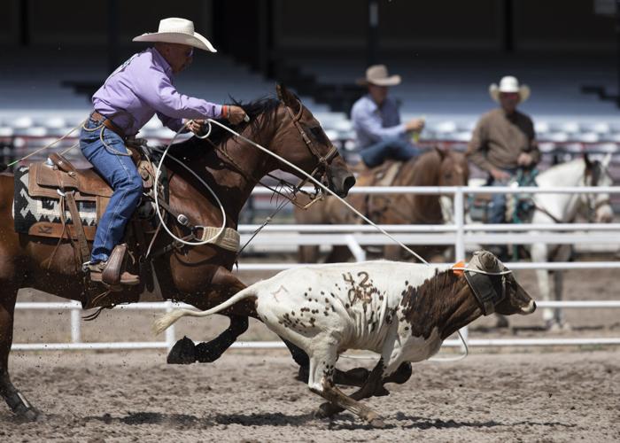 Proctor leads way at steer roping qualifying | Cfd | wyomingnews.com