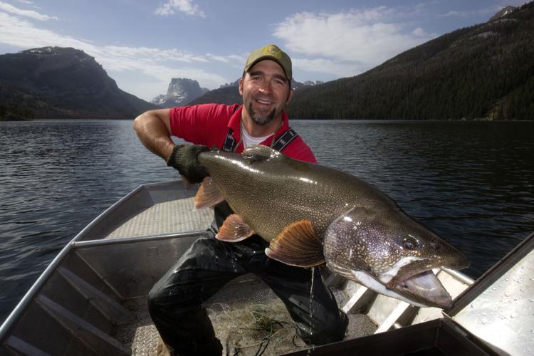 Capturing the hidden moments of Wyoming wildlife management | Local ...