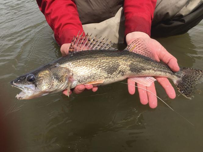 Wayne Hubert inducted into Outdoor Hall of Fame | News | wyomingnews.com