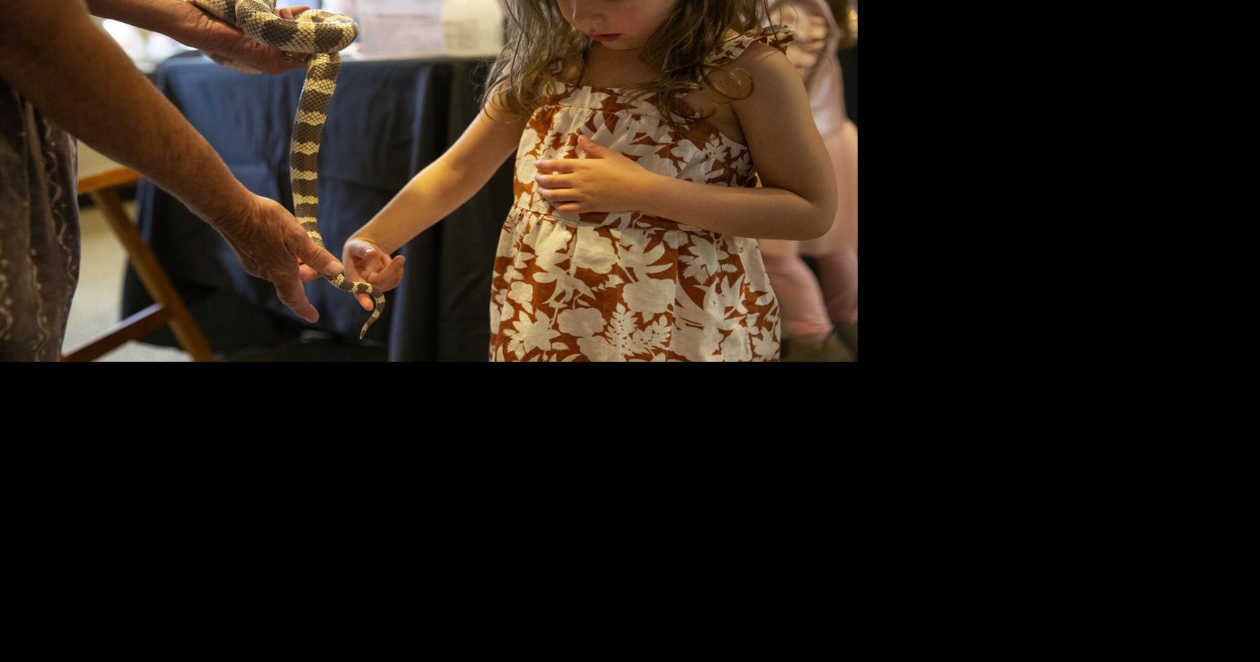 Creepy Crawly Critters at the Wyoming State Museum | Gallery ...