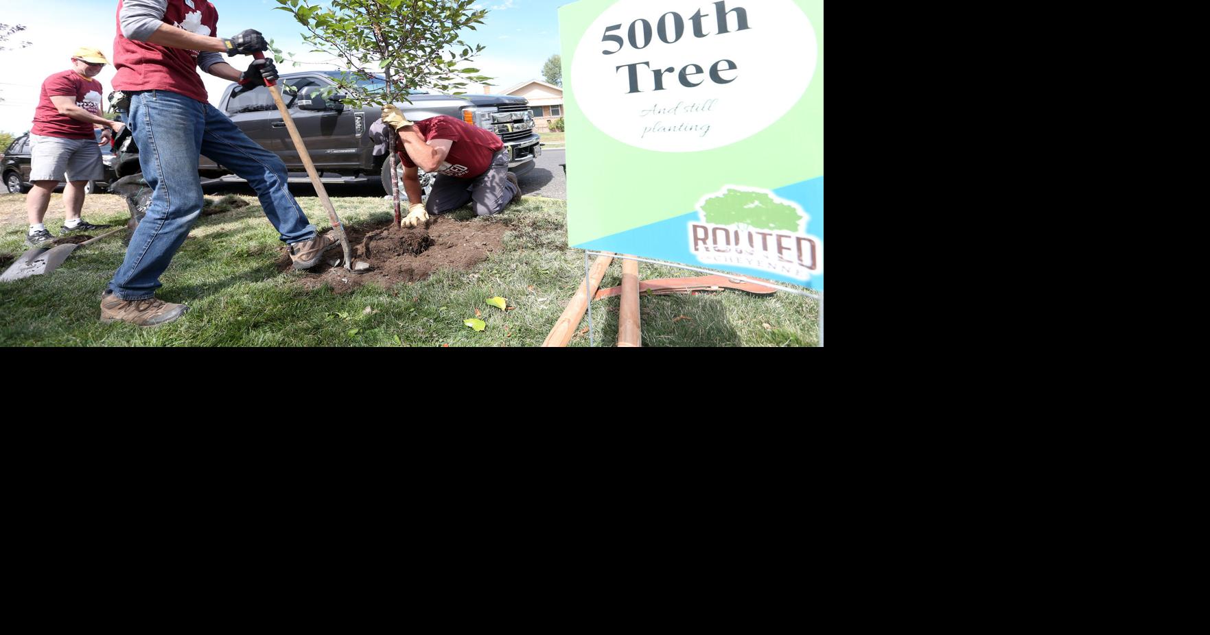 Rooted in Cheyenne to conduct city-wide tree planting event Saturday | Local News | wyomingnews.com