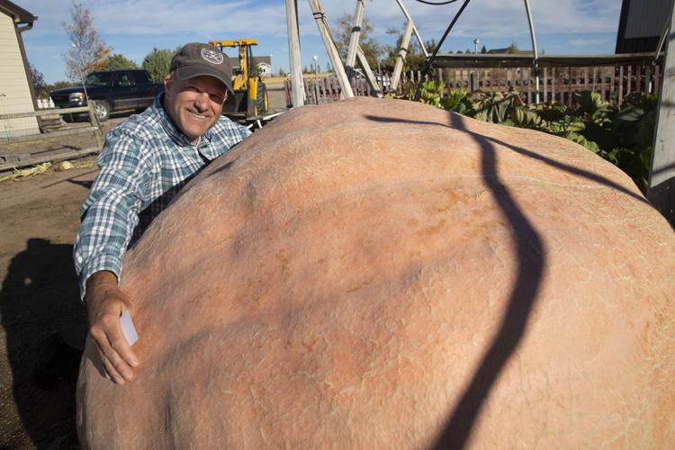 How to transport a giant pumpkin | Gallery | wyomingnews.com