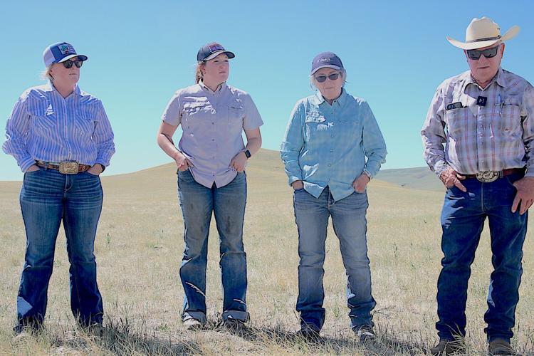 Drought delivers ‘worst case scenario’ for fire scar recovery in ...