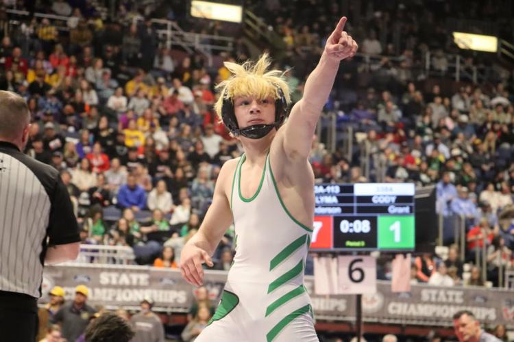 Seven top finishers guide Green River wrestling to fourth-place state ...