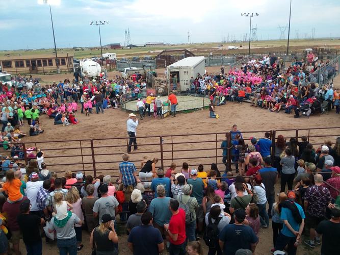 Ketcham retires as county fair manager, leaves path forward for county ...