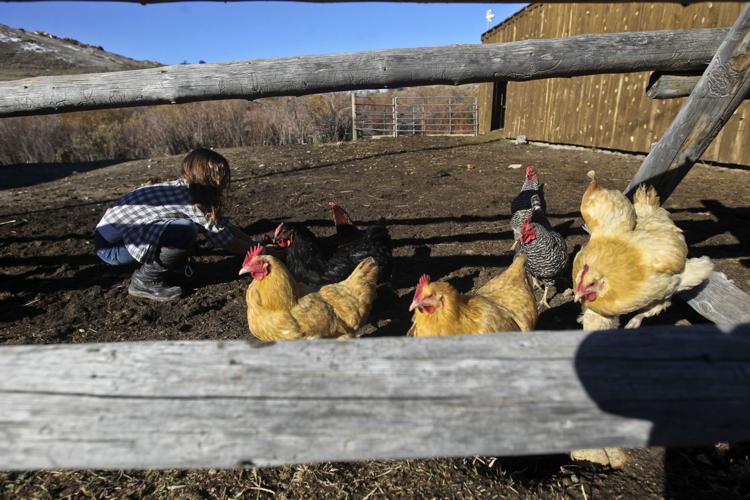 Notch Peak Ranch | | wyomingnews.com