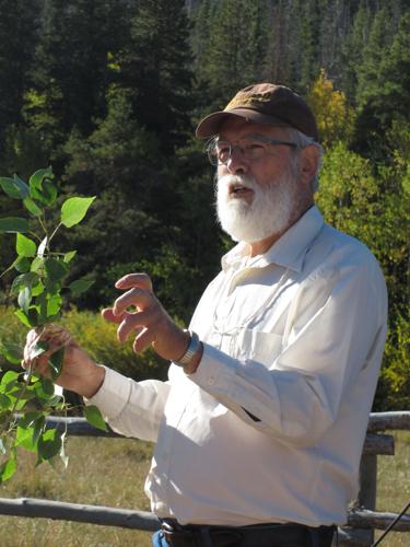 Collecting and identifying plants for 51 years – celebrating Ernie ...