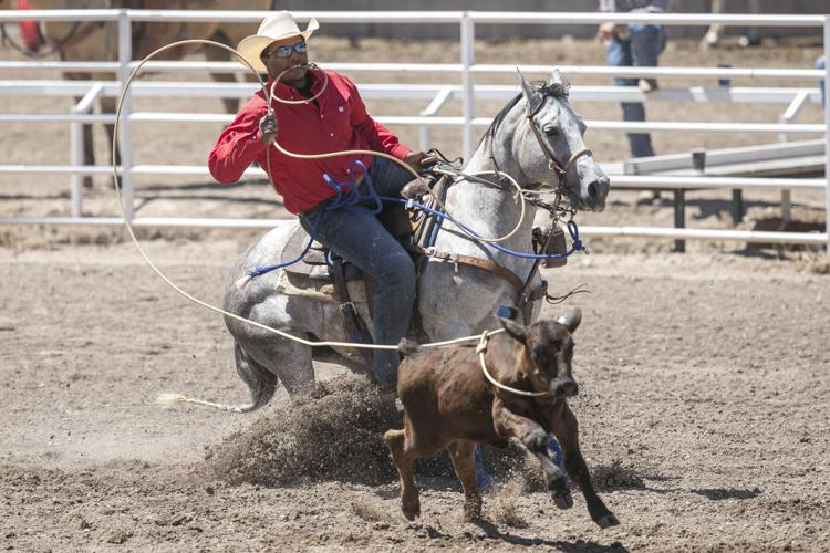 Tyler Milligan sets record in Cheyenne Frontier Days tie-down ...