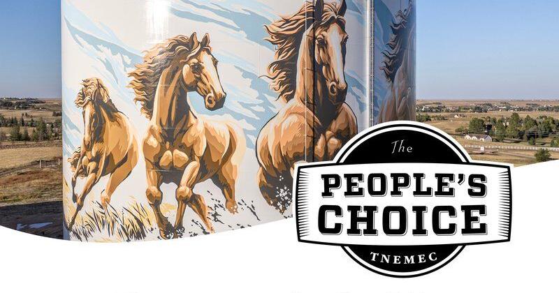Cheyenne water tank mural wins People's Choice in Tnemec national ...
