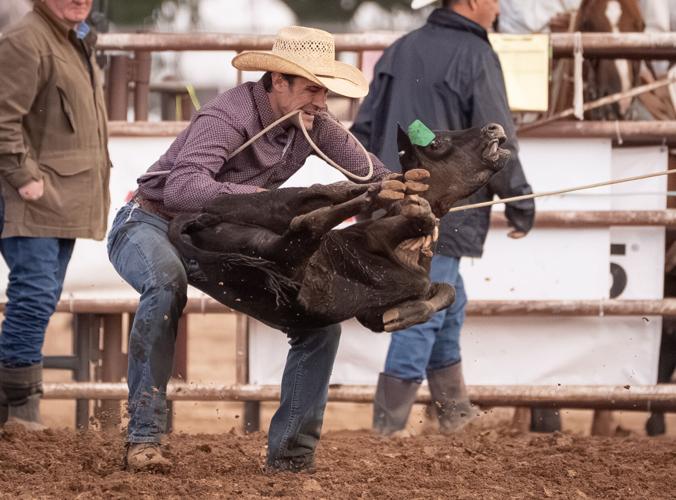 Laramie Jubilee Days PRCA rodeo begins | Laramie Jubilee Days ...