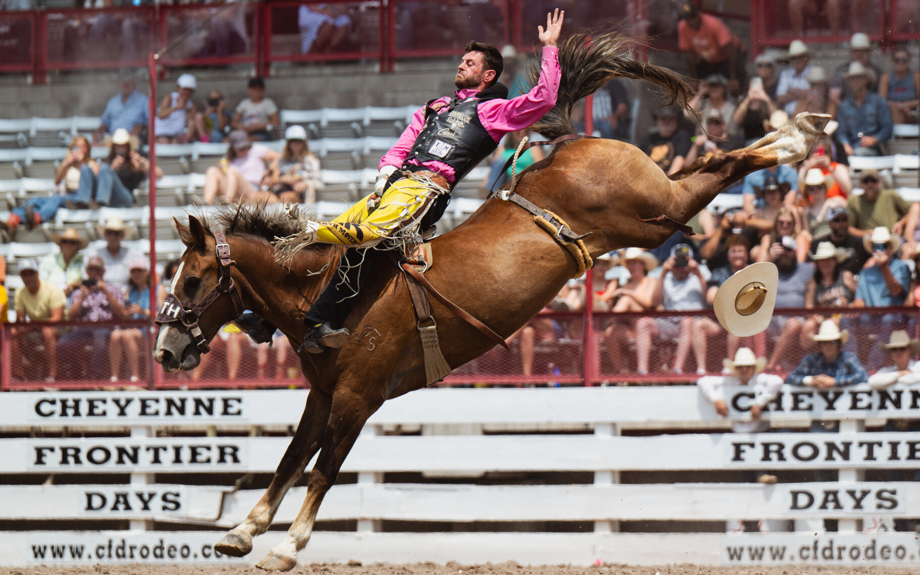 Bareback bronc riding poster | Cheyenne Frontier Days | wyomingnews.com