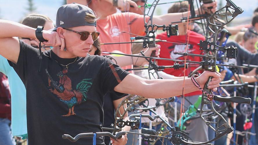 Archers take aim for big and small game at 4-H competition | News ...