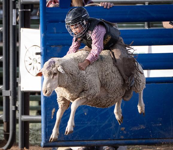 code blue bucking bull