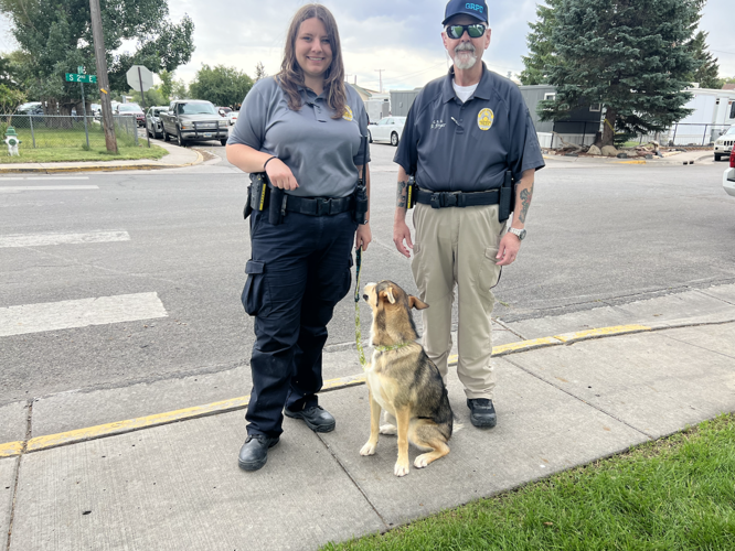 Coming together as a community: GRPD hosts National Night Out Block ...