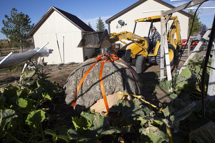 How to transport a giant pumpkin | Gallery | wyomingnews.com