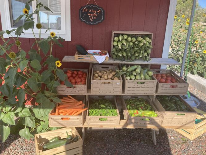 WY Fresh owner fights Cheyenne's forced annexation, says questions ...