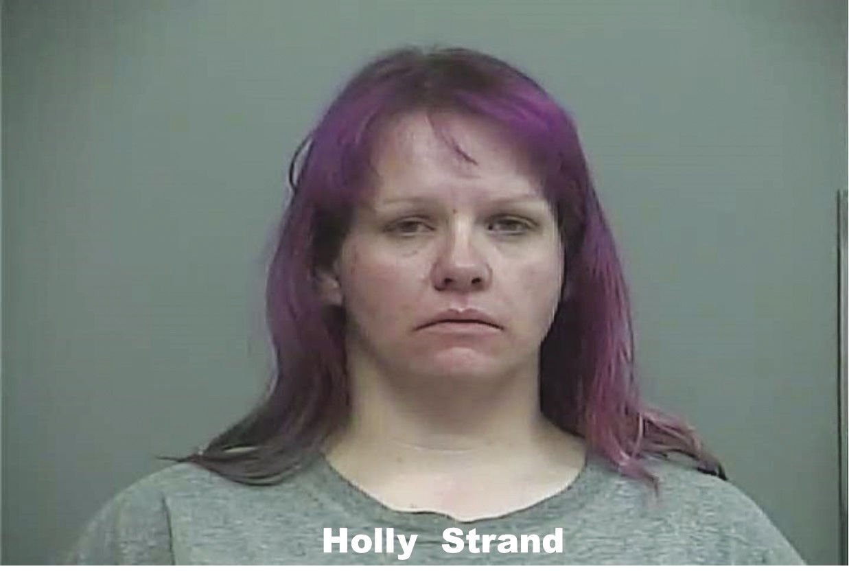 Holly Strand's Instagram, Twitter & Facebook on IDCrawl