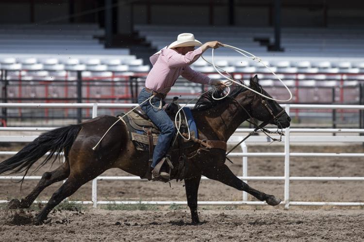 Proctor leads way at steer roping qualifying | Cfd | wyomingnews.com