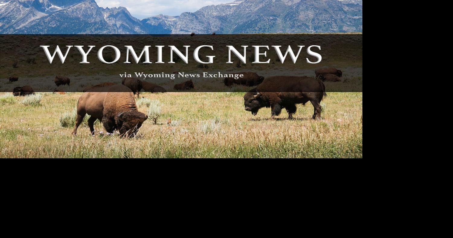 Cody first responders heal from trauma | News | wyomingnews.com