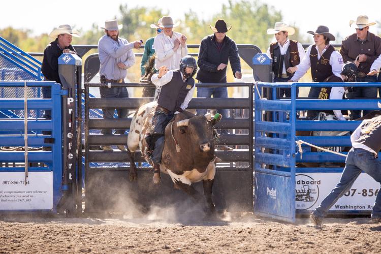 Dixon Tattrie powered through early season woes to win CRMR bull riding ...