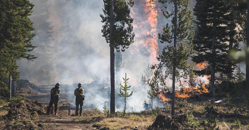 Jackson Hole wildland fire ignitions double from last year | Rocket ...
