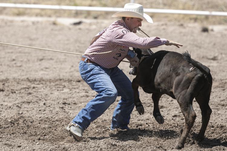 Tie-down roping qualifiers for 127th Cheyenne Frontier Days, 7-17-23 ...
