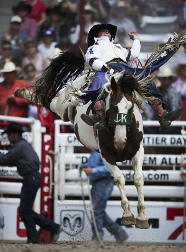 Buffalo bareback rider Cole Reiner caught on quickly | Rodeo ...