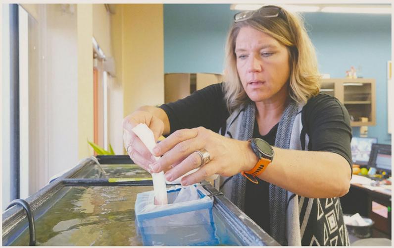 Growing future conservationists: Trout in the Classroom comes to Powell ...