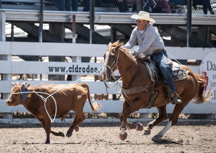 Taylor Santos is top steer roping qualifier at Cheyenne Frontier Days ...