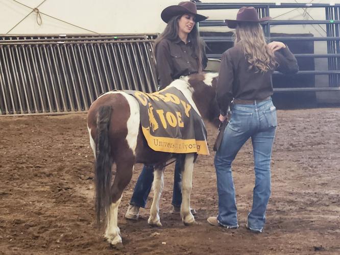 ‘Untamable spirit’: Third annual Tribute to Steamboat offers unique ...